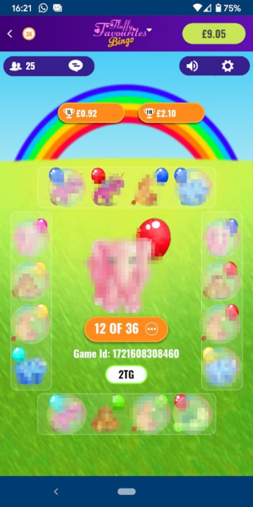 Fluffy Favourites Bingo (Entain) - Everything You Need To Know