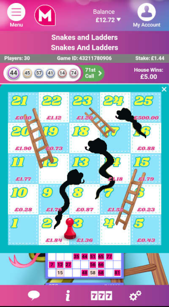 Snakes & Ladders Bingo - Everything You Need To Know