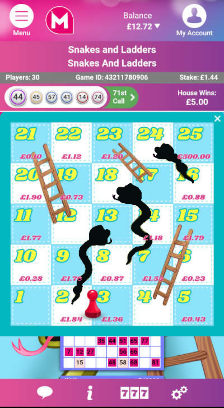 Snakes & Ladders Bingo - Everything You Need To Know