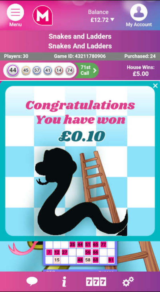 Snakes & Ladders Bingo - Everything You Need To Know