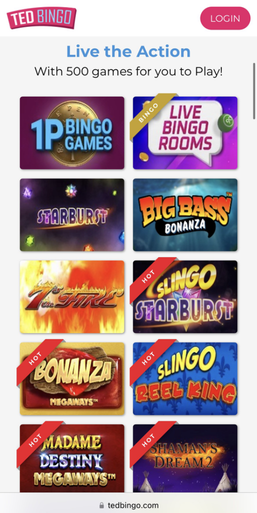 Ted Bingo Review | Everything You Need To Know