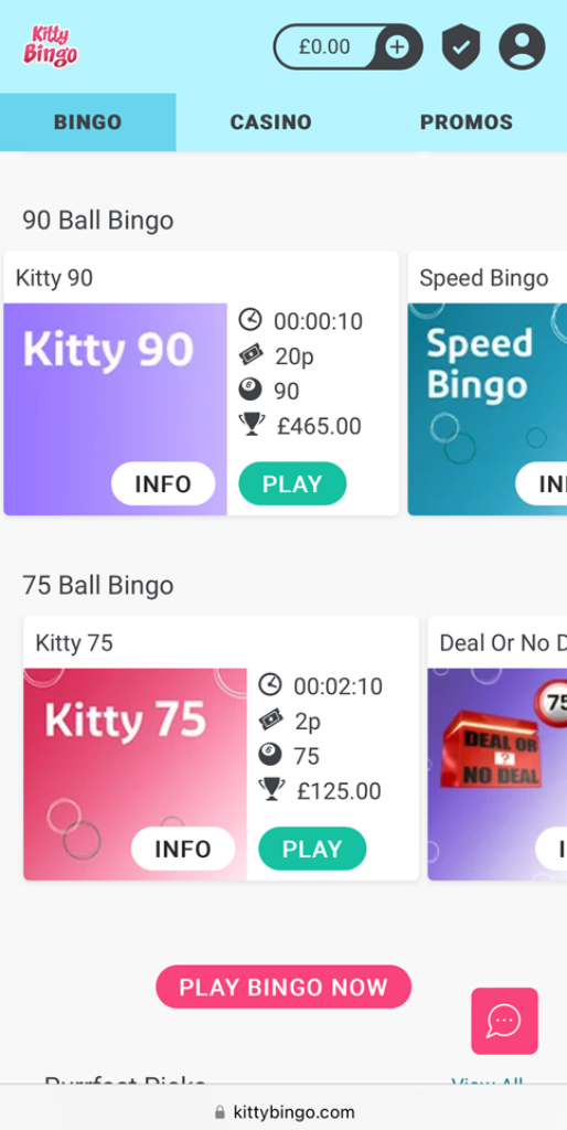 Kitty Bingo Review | Everything You Need To Know