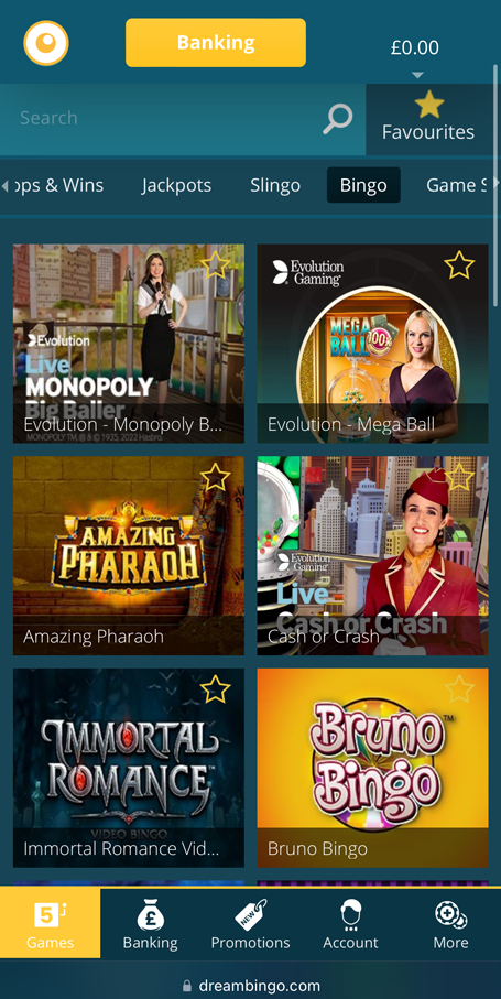 Dream Bingo Review | Everything You Need To Know